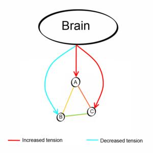 ART Physical Therapy | Active Release Technique® | Santa Rosa, CA
